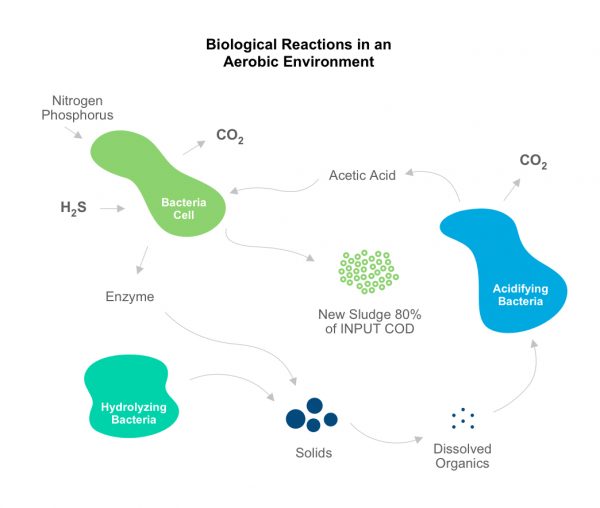 YDRO PROCESS – Bio-Ran.com